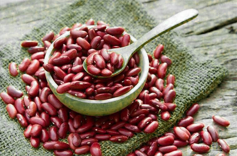 kacang merah cegah gangguan irama jantung fibrilasi atrium kacang merah cegah gangguan irama jantung fibrilasi atrium